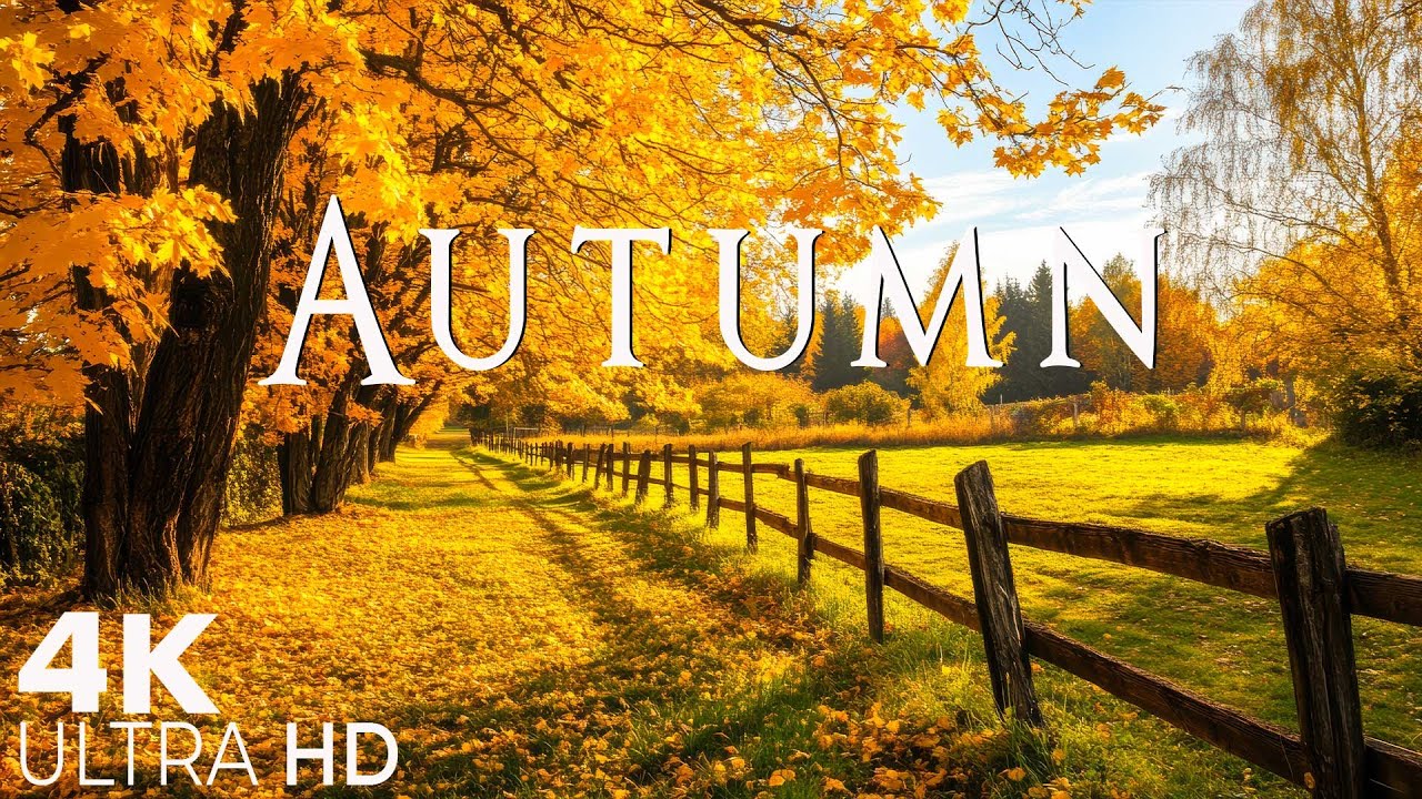 4K Cozy Autumn Scenes & Beautiful Relaxing Music 🍁 Soft Autumn Sounds ...