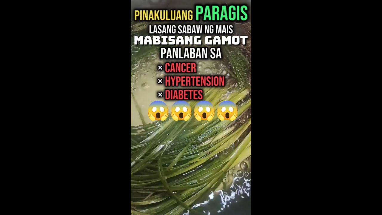 PARAGIS HALAMANG GAMOT ll MERACLE GRASS - YouTube