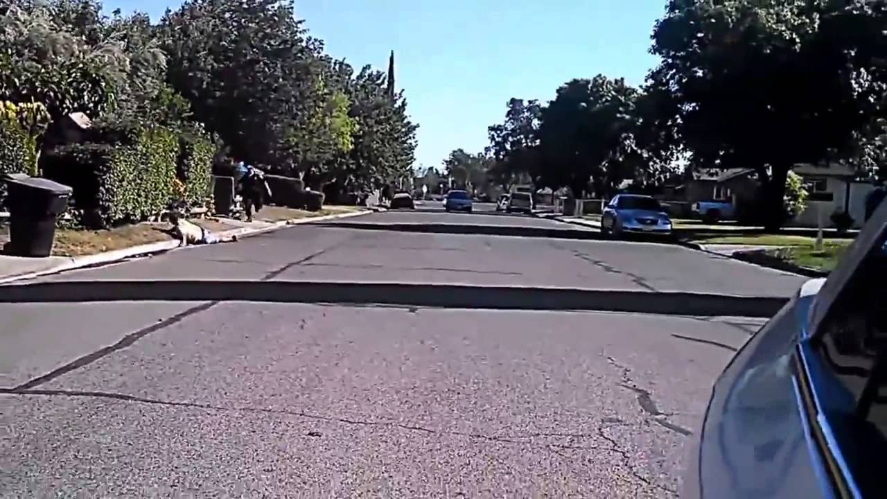 Police Chase Double Fail Fat Cop vs Clumsy Suspect - YouTube