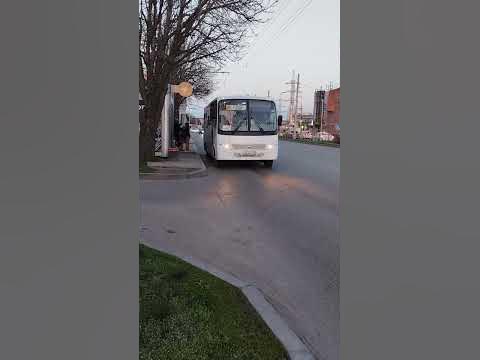 ПАЗ Вектор Некст🚌 Краснодар. - YouTube