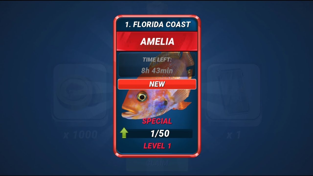 Let's Find THE AMELIA (Special Fish). - YouTube