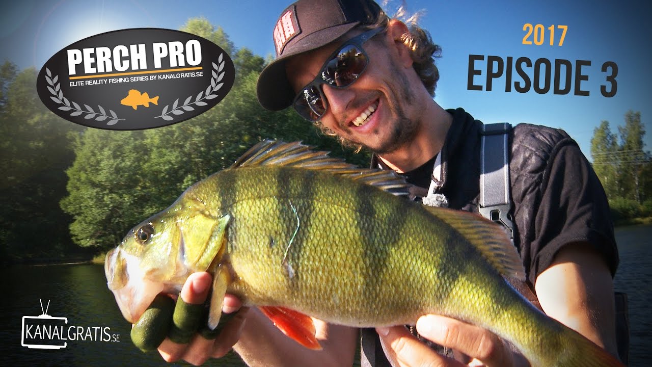 Perch Pro 2017 - EPISODE 3 - Kanalgratis.se (with German, French ...