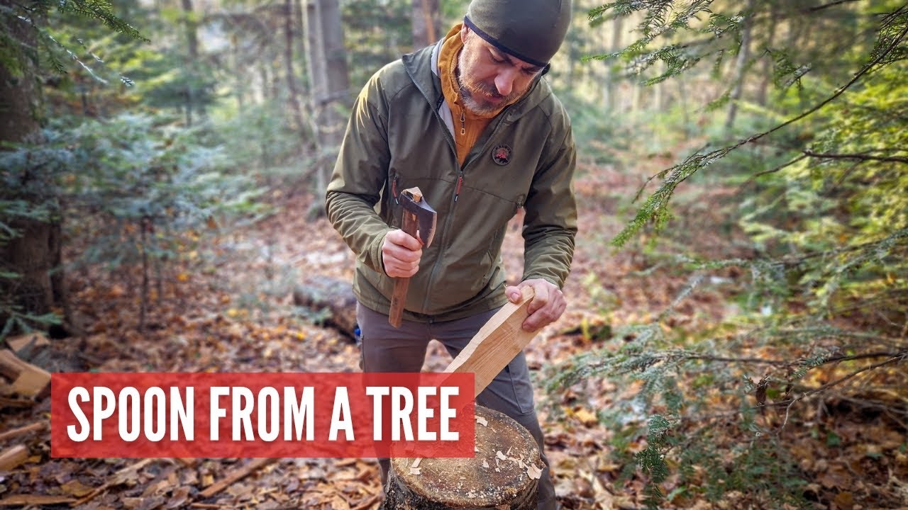Wooden Spoon From a Tree. How I Hike to Find Storm Fallen Wood I Use to ...