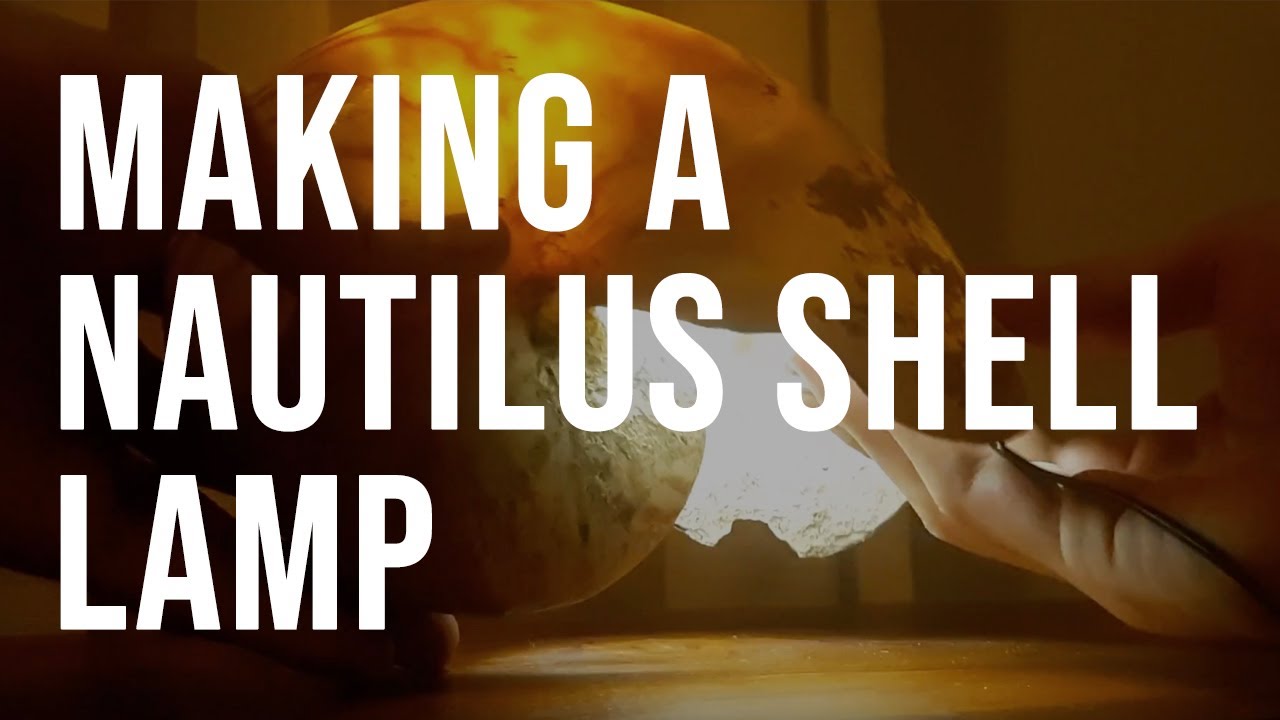 Making a Nautilus shell lamp - YouTube
