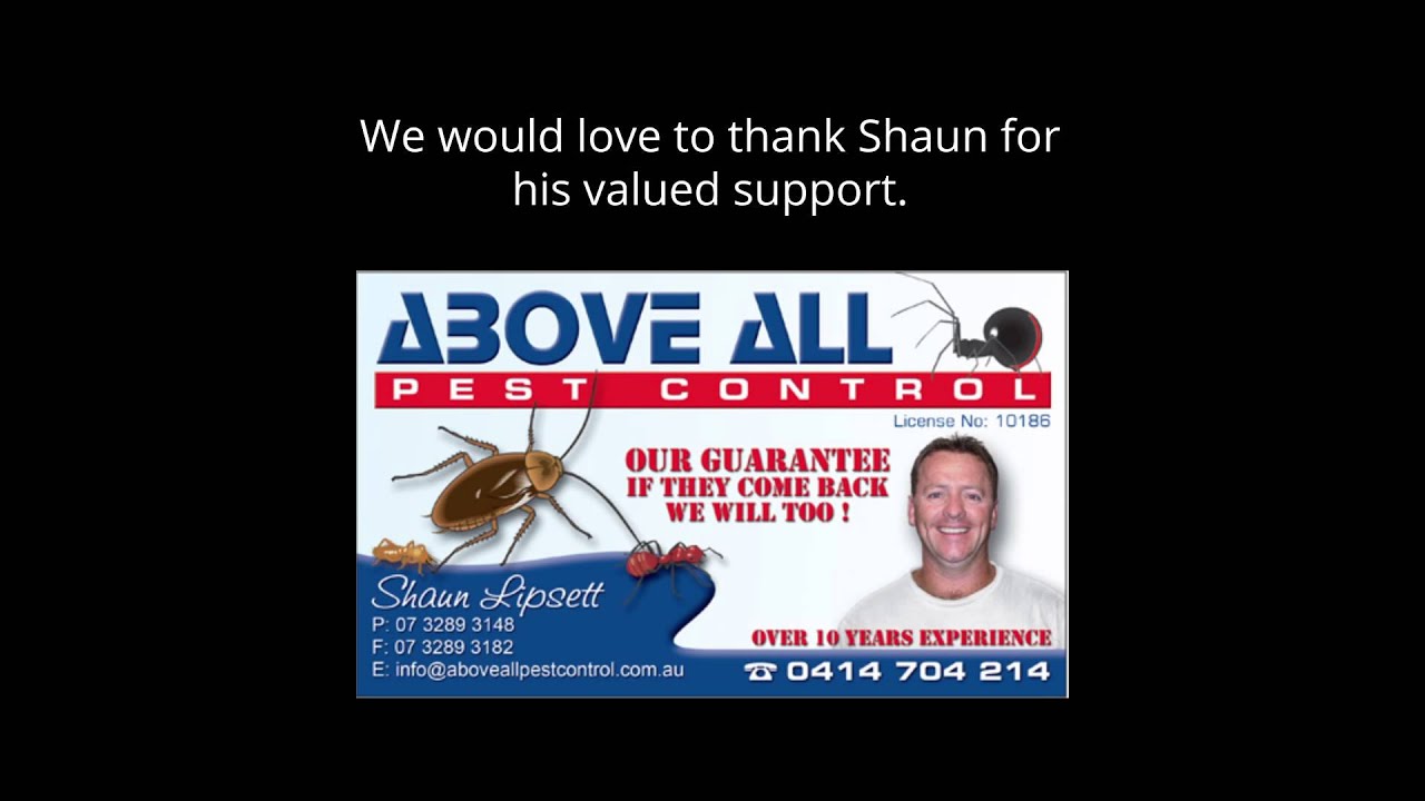Above All Pest Control - YouTube