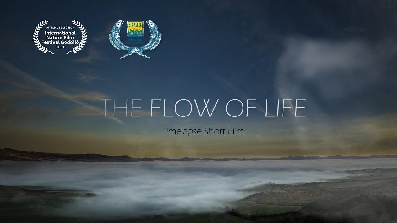 THE FLOW OF LIFE - YouTube