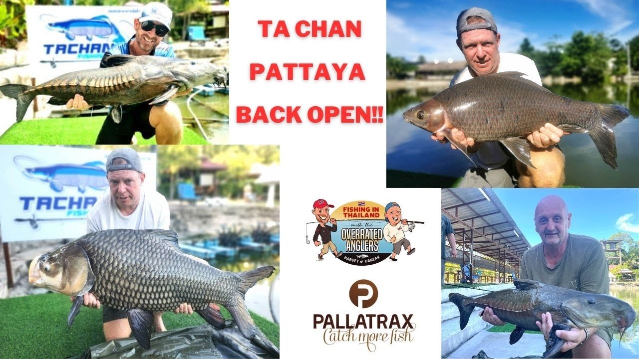 The Overrated Anglers - Fishing in Thailand - Ta Chan in Pattaya is ...