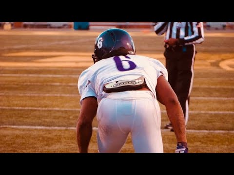 SCARIEST 😱🔥LINEBACKER IN MICHIGAN ‼️TERRANCE HAYES ‼️😱HIGHLIGHTS ...