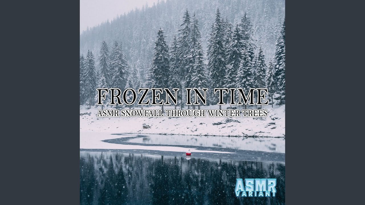 ASMR Snowy Woods Snowfall: Relaxing Sounds of Winter Nature - YouTube
