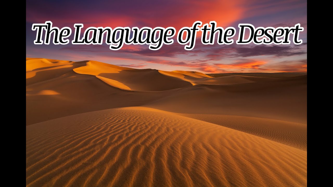 "The Language of the Desert" - YouTube