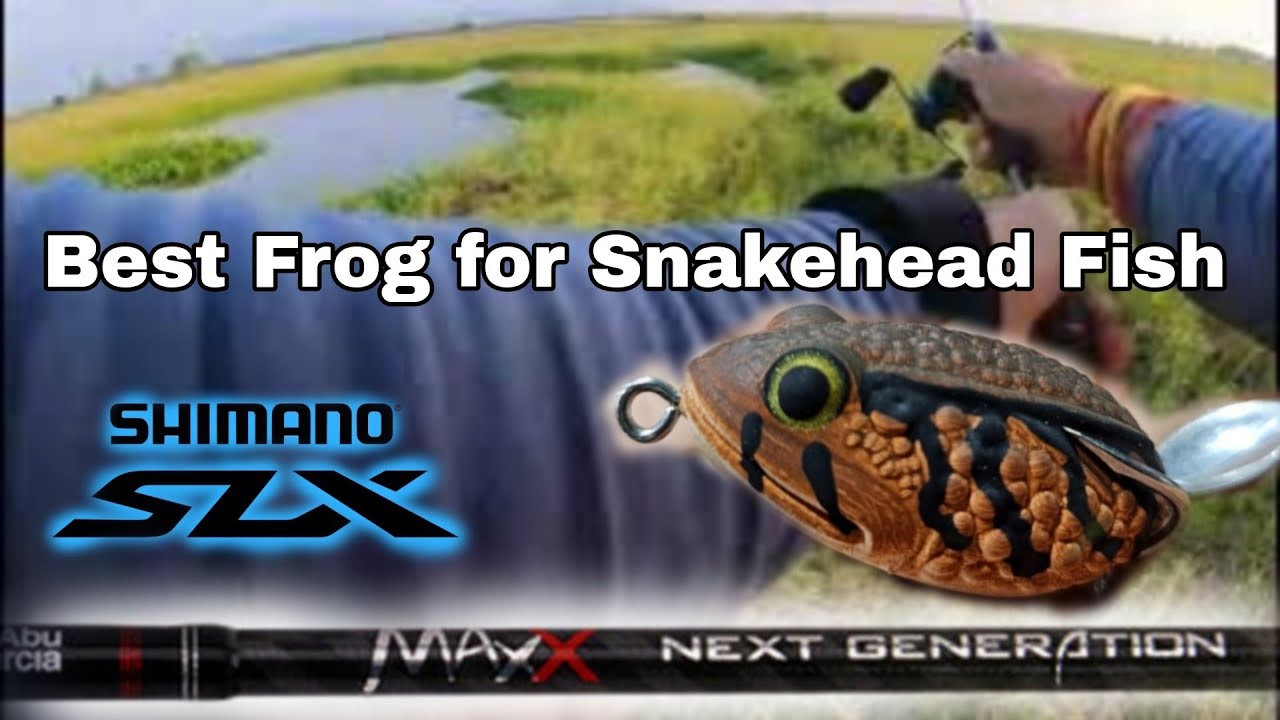 CMX -The Best Lure for Snakehead Fishing || How to Catch Snakehead Fish ...