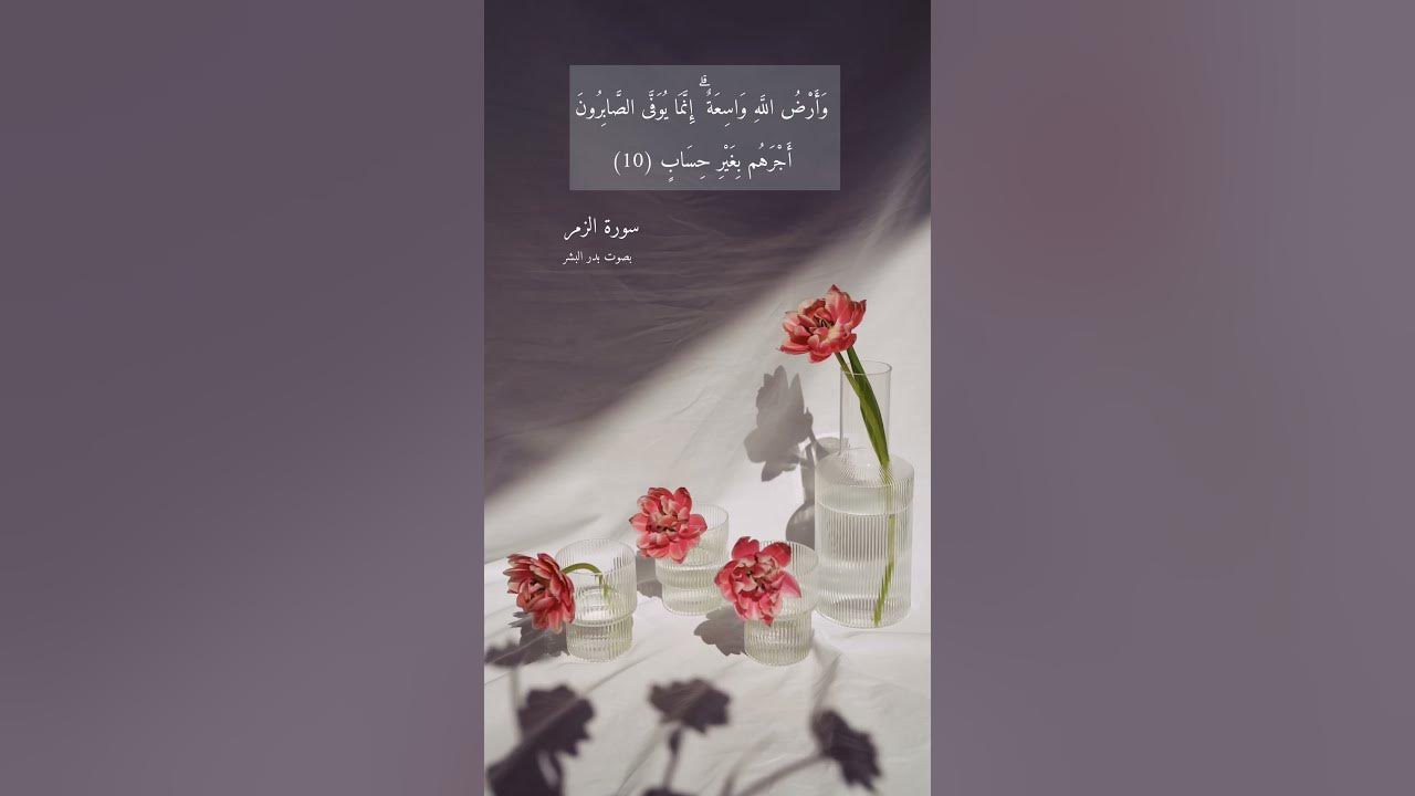 آية ١٠ قل يا عباد الذين آمنوا اتقوا ربكم للذين أحسنوا في هذه الدنيا