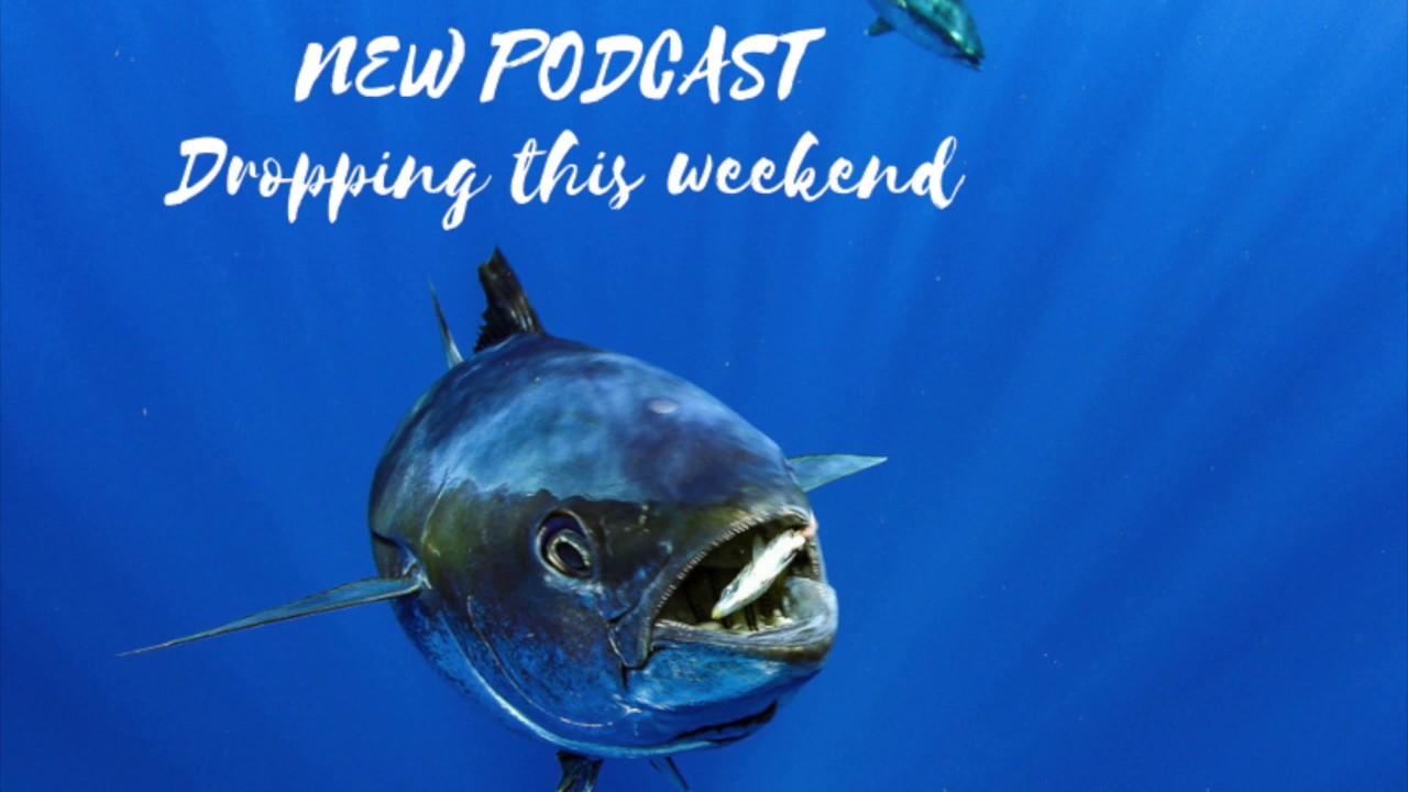 AM Podcast ep7- The Amazing story of the Southern Bluefin Tuna - YouTube