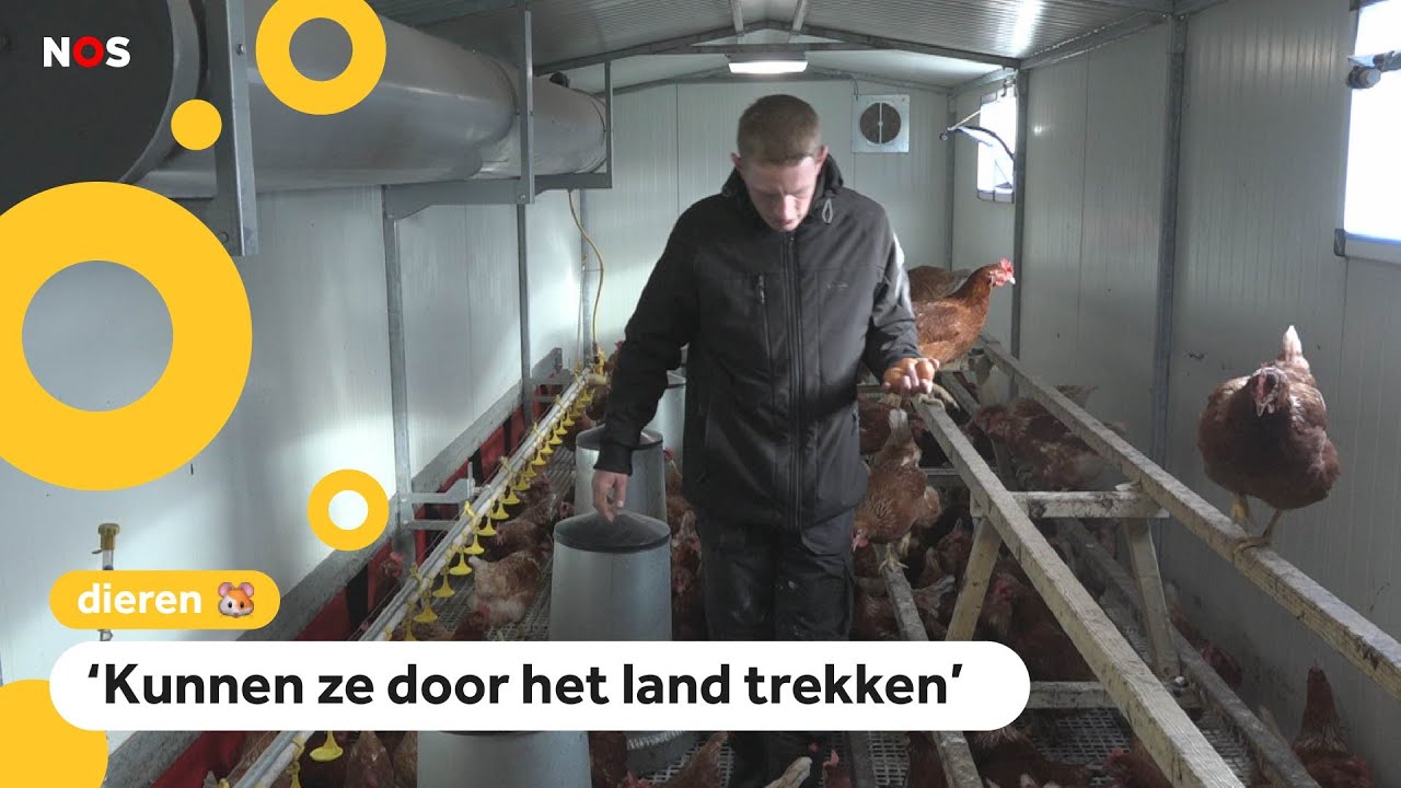 Boer Matthijs heeft een rijdende kippenstal - YouTube