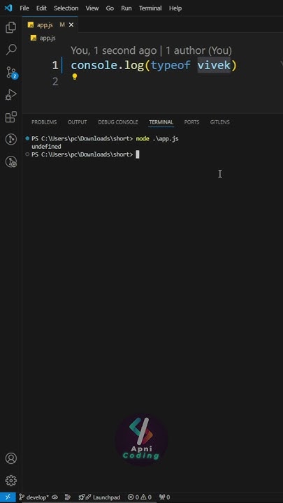 Coder Coading Javascript Python Nodejs Programming Js Java Interview Code 