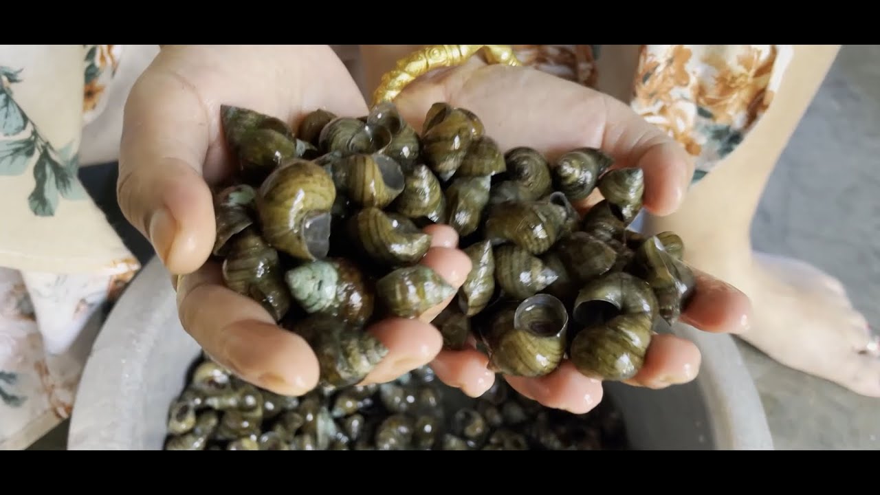 #Ghongi Receipe Nepali Style #Water Snail Curry #Tharu Cuisine #Ghogi # ...