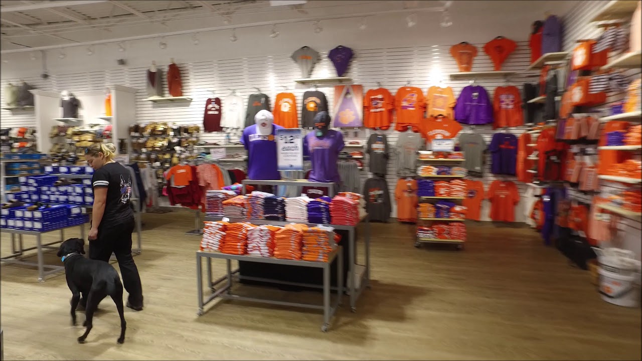 Dax, a rescued Lab/Hound mix, Before and After Obedience Training - YouTube