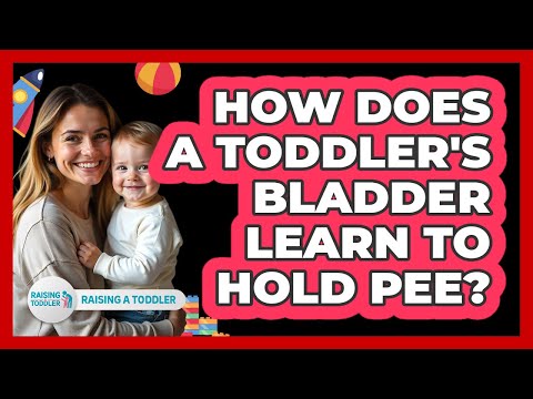 How Does A Toddler's Bladder Learn To Hold Pee? - Raising A Toddler