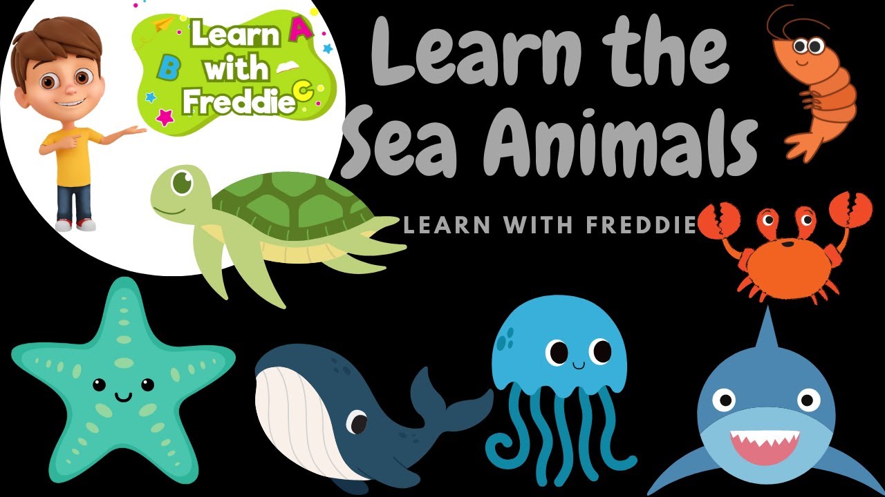 Learn the Sea Animals with Freddie - Fun & Educational - YouTube