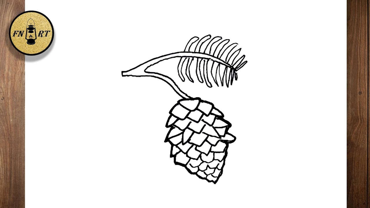 How to draw a pine cone easy step by step - YouTube