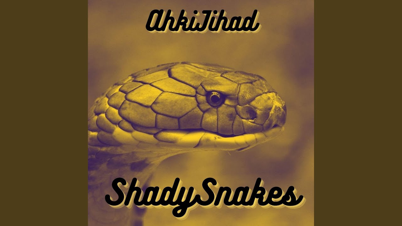 Shady Snakes - YouTube