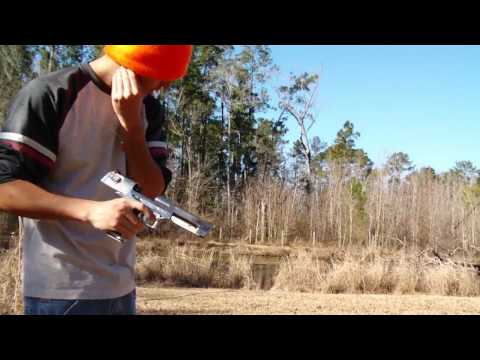 The Desert Eagle .50AE ☺