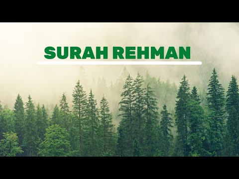 RELAXING QURAN RECITATION | Surah Rehman