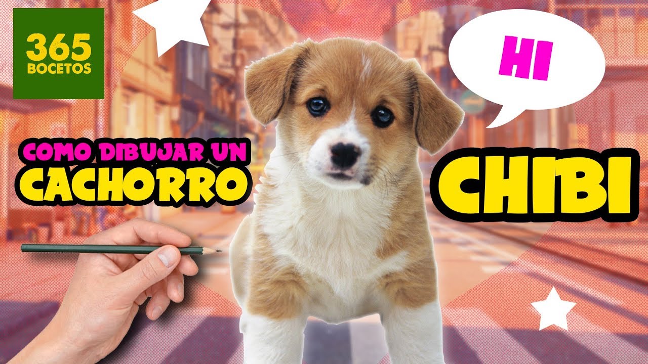 COMO DIBUJAR UN PERRO CHIBI - Como dibujar un cachorro al estilo Chibi ...