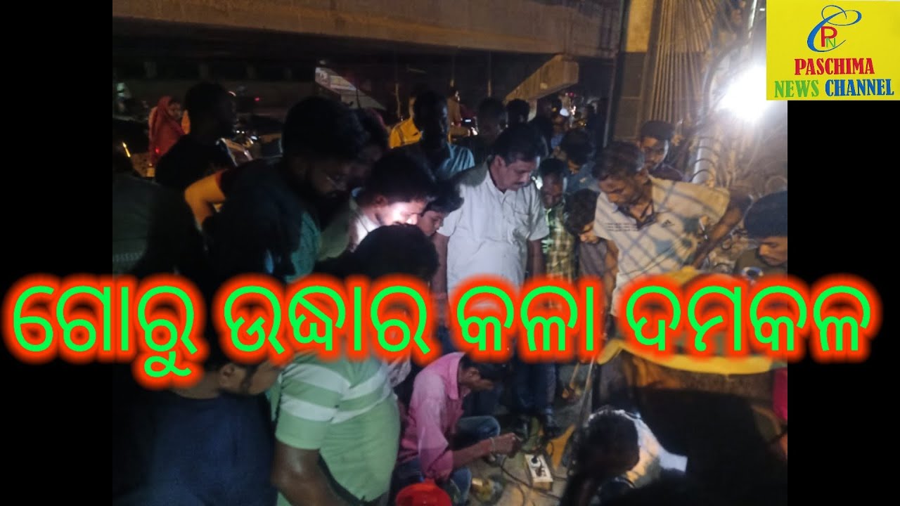 ଗୋରୁ ଉଦ୍ଧାର କଲା ଦମକଳ ବାହିନୀ ll Goru Udhara Kala Damakal Bahini - YouTube