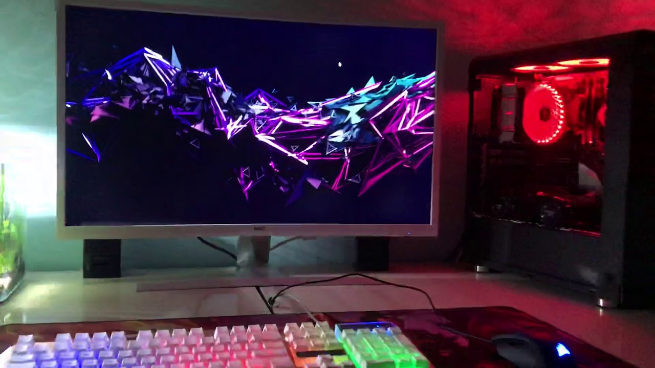 Shrimp Tank vs Gaming Setup - YouTube