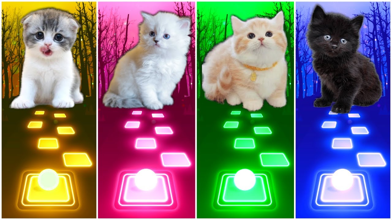 CUTE CATS - ALAN WALKER VS LALISA VS WAKA WAKA VS SUGAR - YouTube