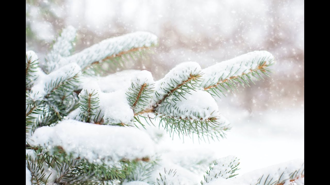 Snow Sounds for Sleep and Relaxation - Instant Sleep with Snowfall ...