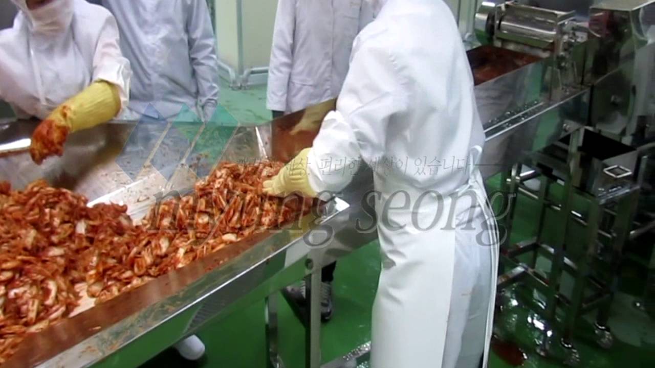 김치 제조 기계 설비 (Production Line for Kimchi) - YouTube