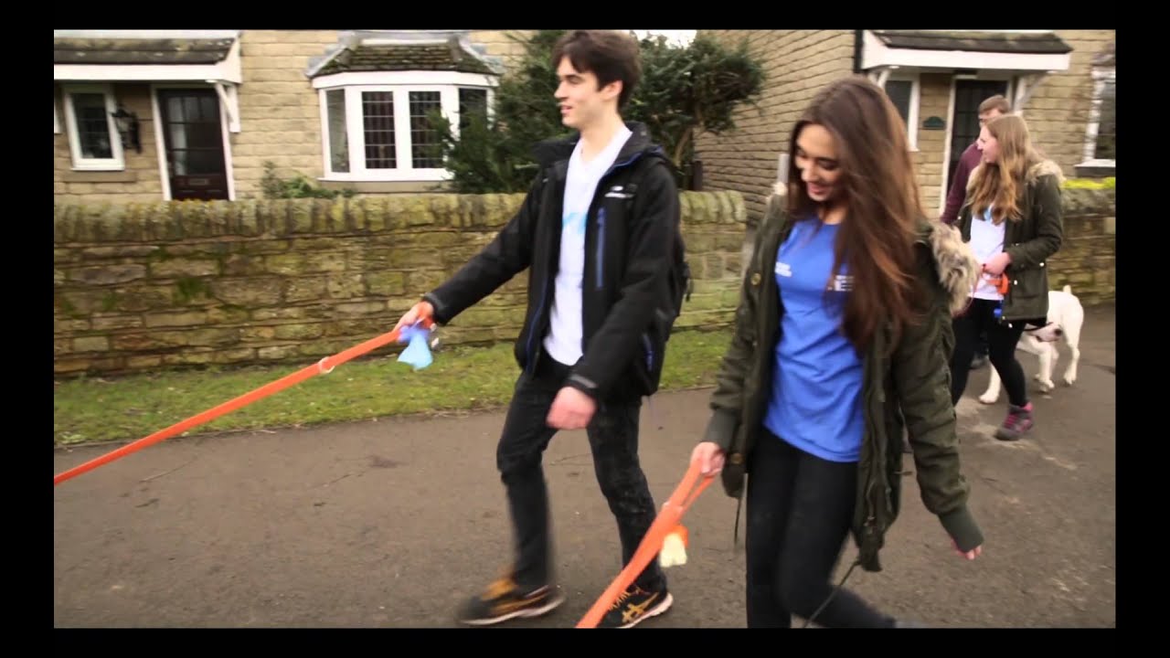Dog Walking - Student Volunteering Week at Sheffield Hallam Students' Union - YouTube