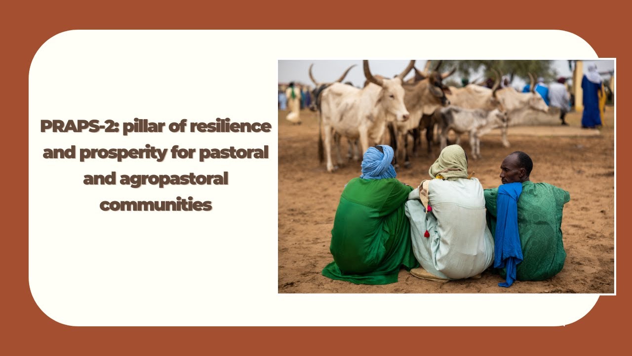 PRAPS-2: A pillar of resilience and prosperity for pastoral and ...