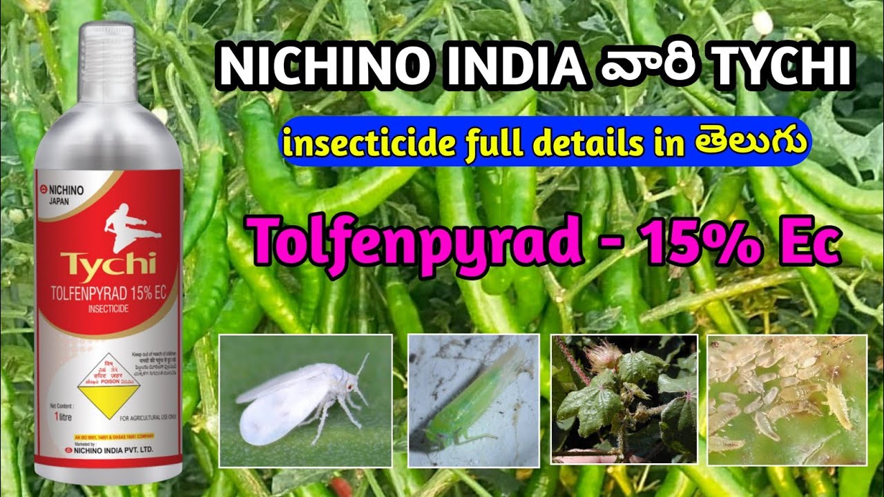 Tychi insecticide | nichino tychi insecticide uses | మిరప లో తామర ...