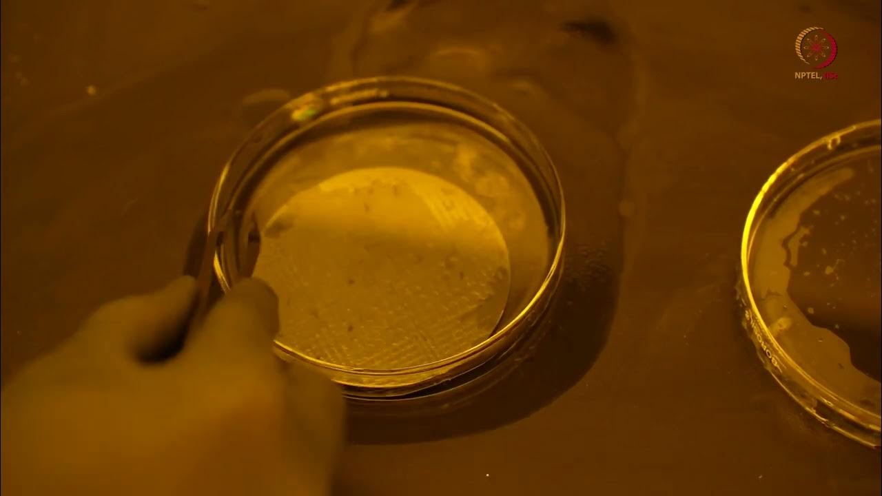 Lec 18 Lab 06 Liftoff Demonstration - YouTube