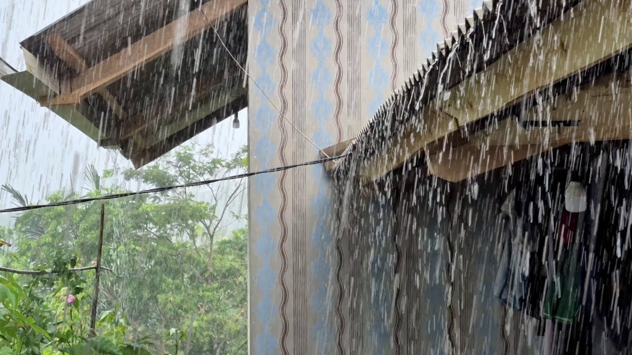 Heavy Rain Pouring on Village Roof & Trees – Relaxing Nature Sounds ...
