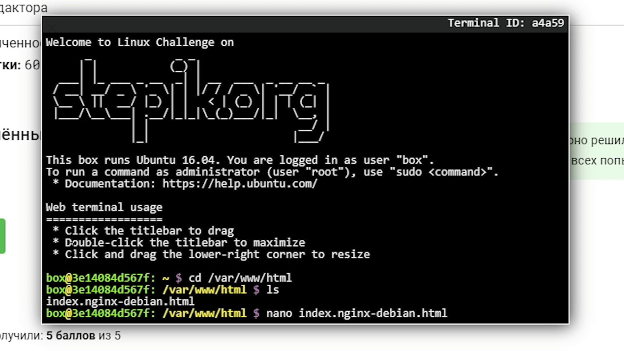 ПРАКТИКА 1 STEPIK - YouTube