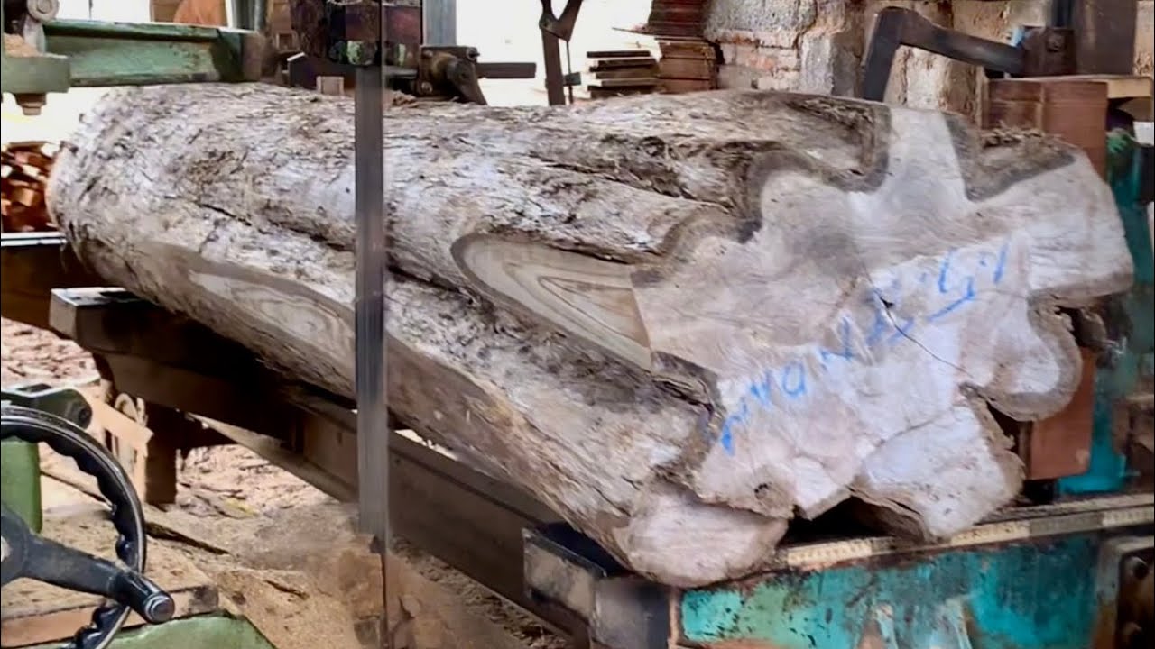 Sawing unique shaped teak wood using a Benso machine at the factory ...