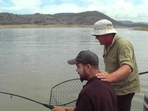 Big Murray Cod, Wyangala Dam, Fair dinkum Fishing Adventures.mpg - YouTube