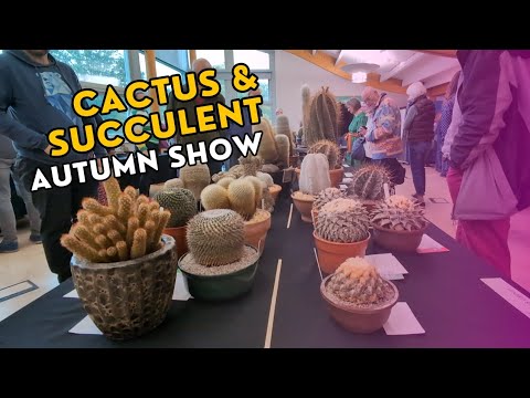 🇬🇧🌵 I visited the BCSS Autumn Cactus & Succulent Show at RHS Harlow ...