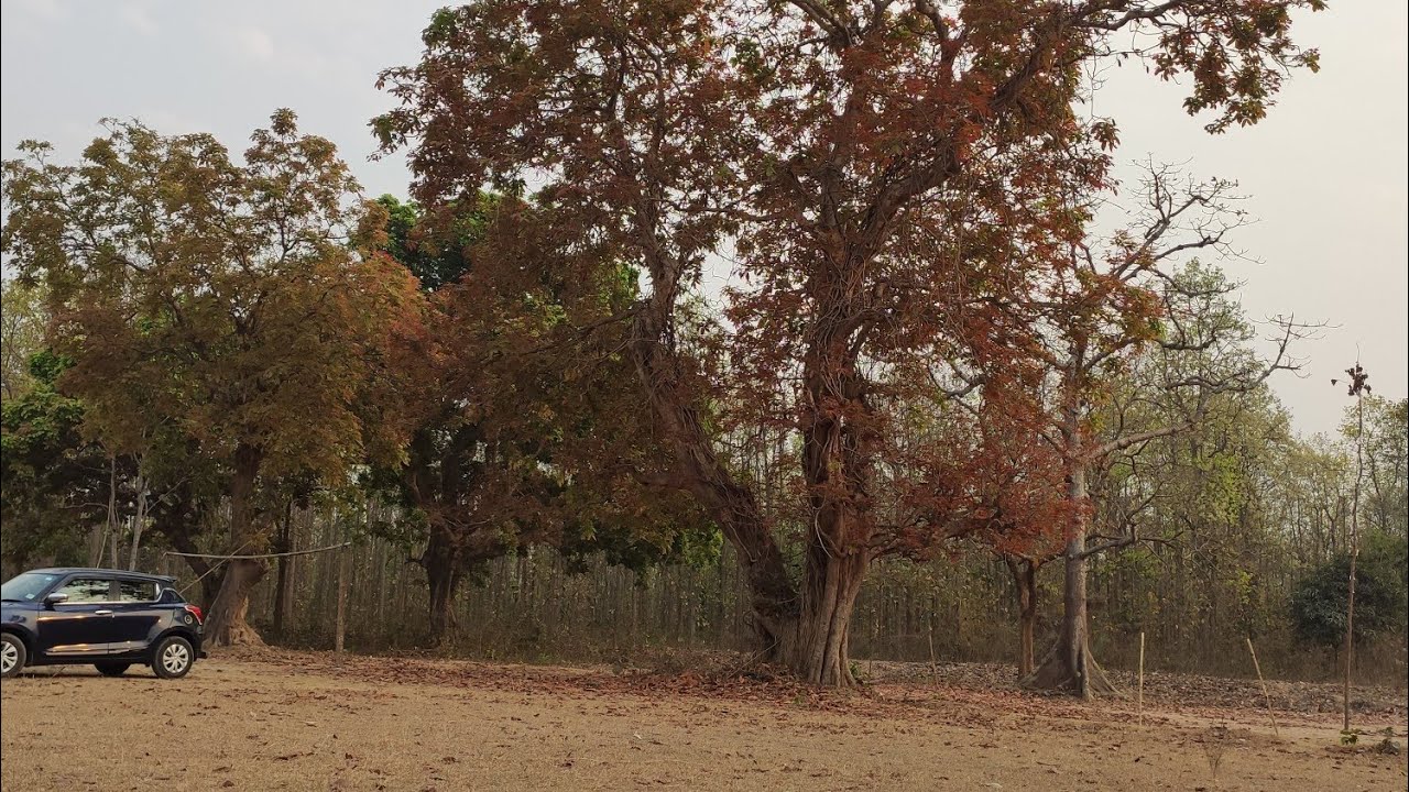 The captivating beauty of India's secret rural paradise! - YouTube