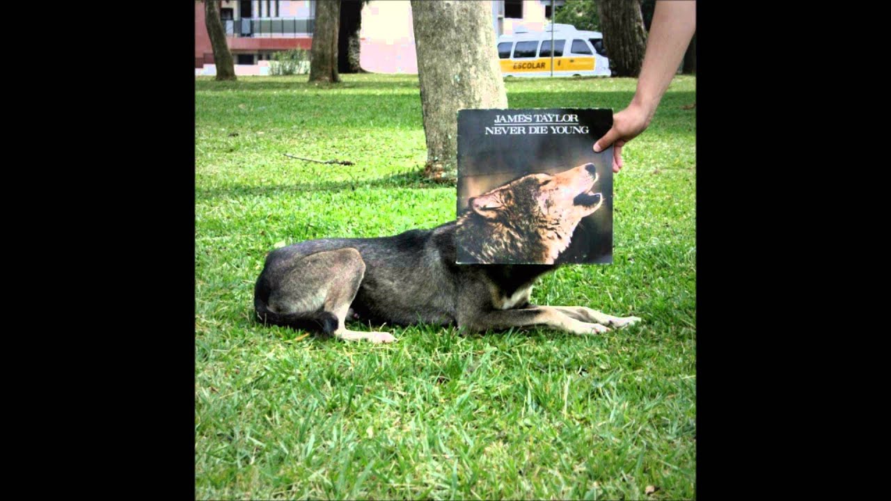 T-Bone - James Taylor - 1988 - YouTube