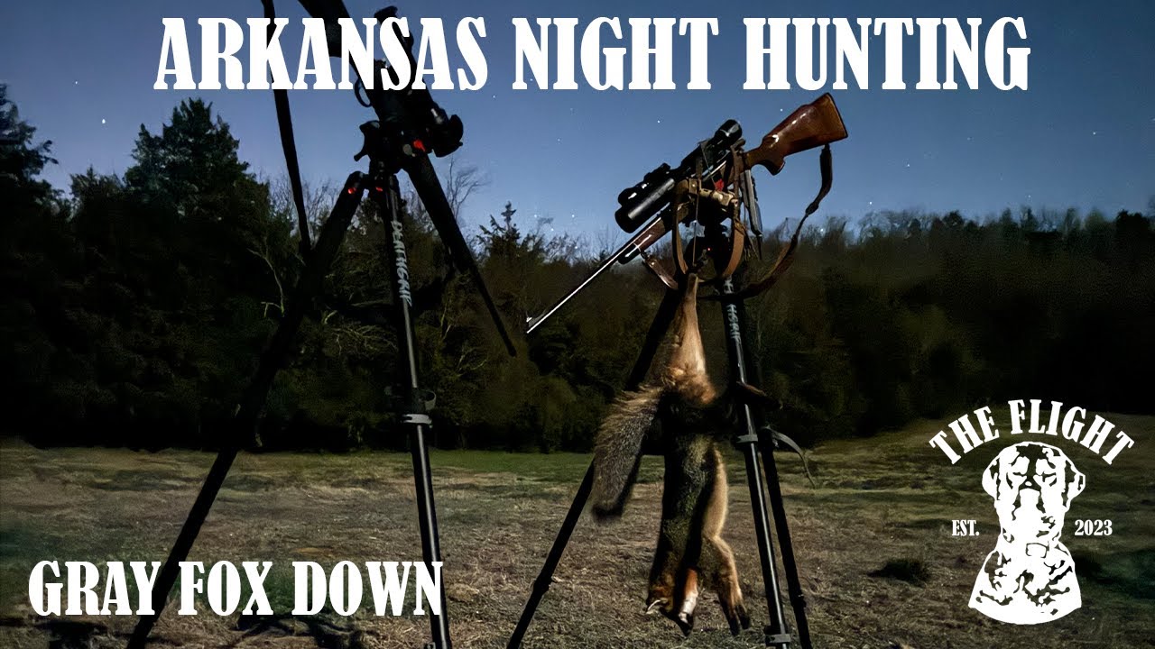 Arkansas Night Time Predator hunt - YouTube