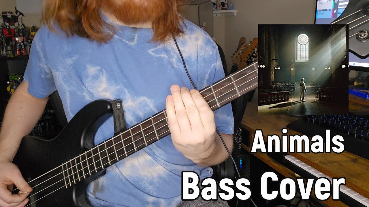 Animals - Architects | Bass Cover - YouTube