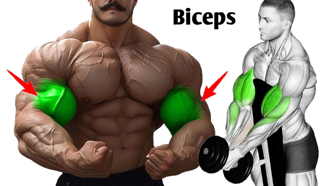 5 Exercises to Get Huge Biceps Fastest - YouTube