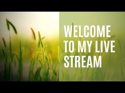 welcome to my live stream # 17 #dubai #youtube #stream - YouTube