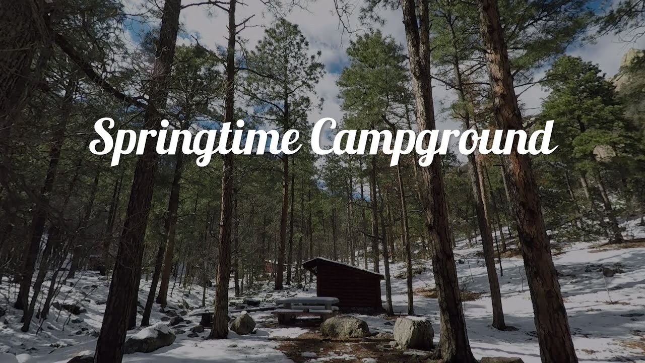 Springtime Campground Scenic Drive - Cibola National Forest - New ...
