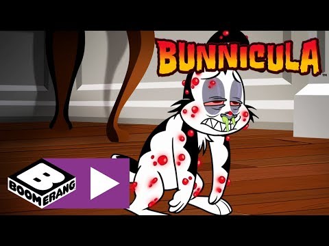 Bunnicula | Bunnicula's Allergic Reaction | Boomerang UK 🇬🇧